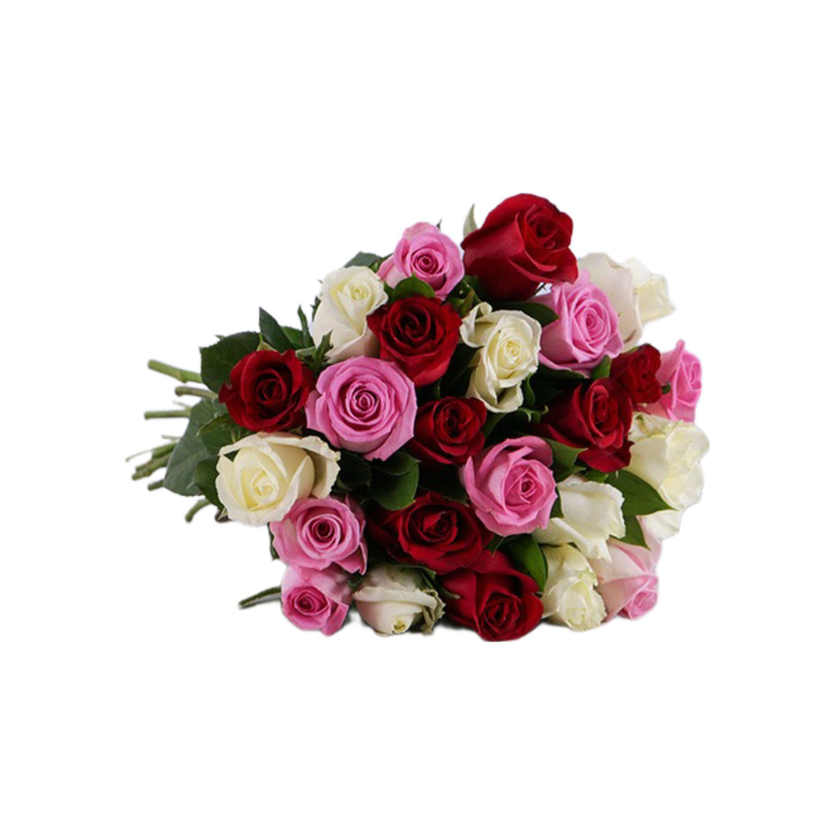 Ramo de 24 rosas variadas – florería La Maison